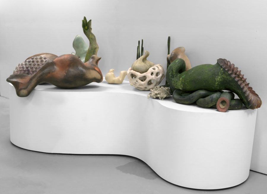 Coleton Lunt – Notre Dame Art | Art History | Design