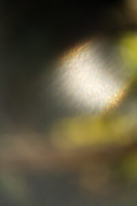 Thomas Callahan – Notre Dame Art | Art History | Design